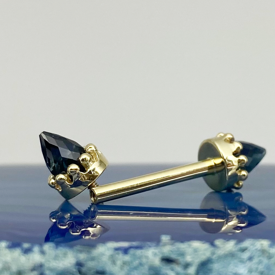 BVLA STRAIGHT BARBELL | The Piercing Urge